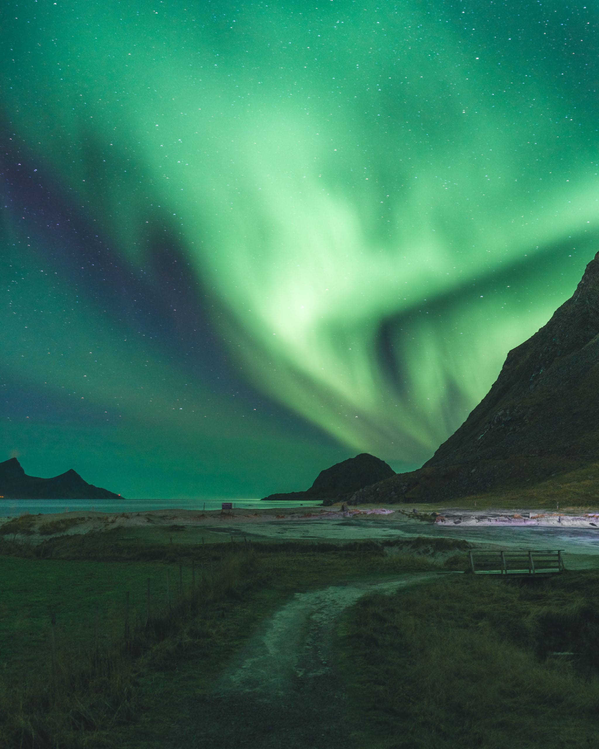 Northern Lights Tour Lofoten | Hattvika Lodge